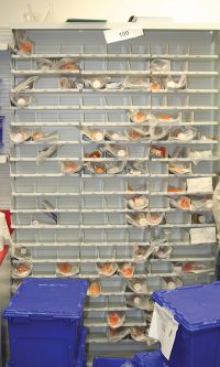 Pharmacy Will Call - Uniweb